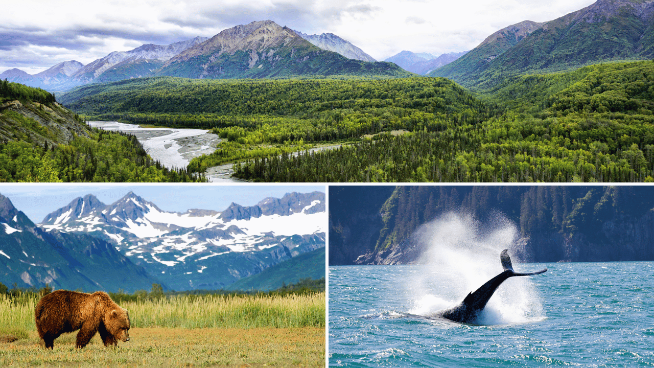 The Ultimate Guide to the Best Time to Travel to Alaska